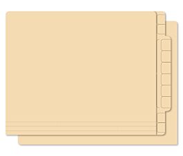 File Folder/Color Code Extended Tab – Plain - Dealertrack Technologies